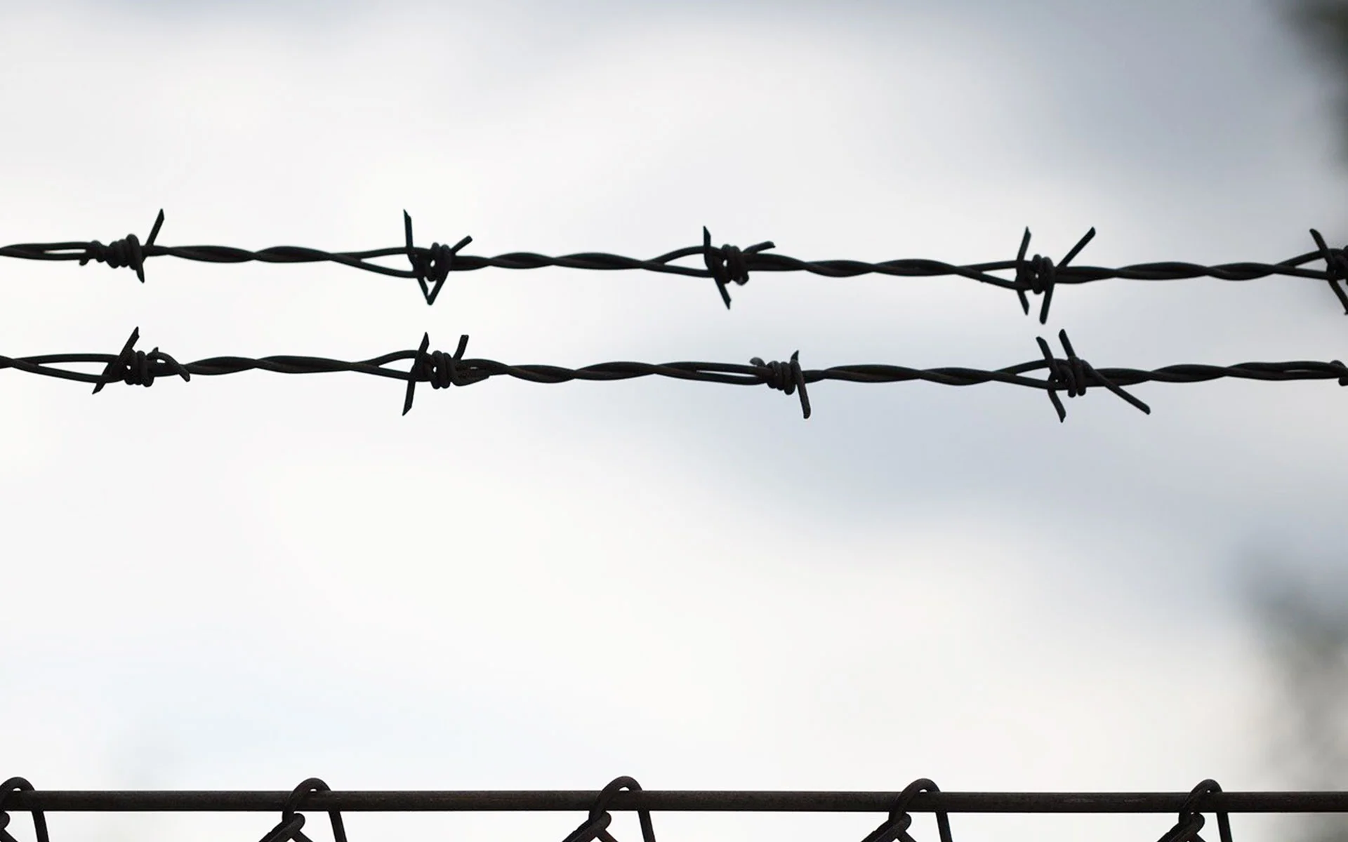 Black Barbed Wire Fences Wire Barbed Fence Near Jail Restricted Area